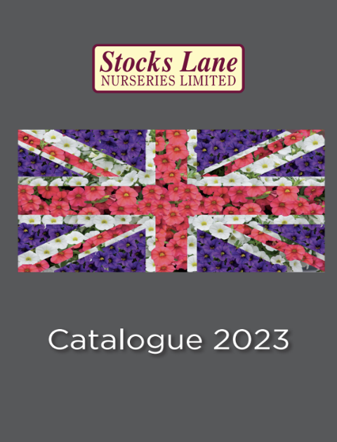 Catalogue - Stocks Lane Nurseries