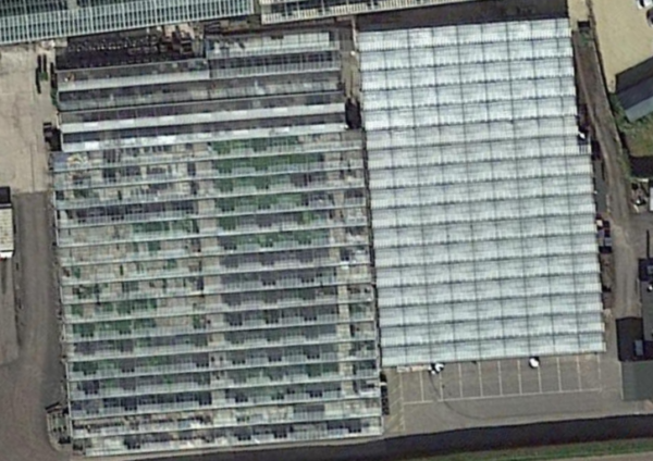 About Us - Stocks Lane Nurseries