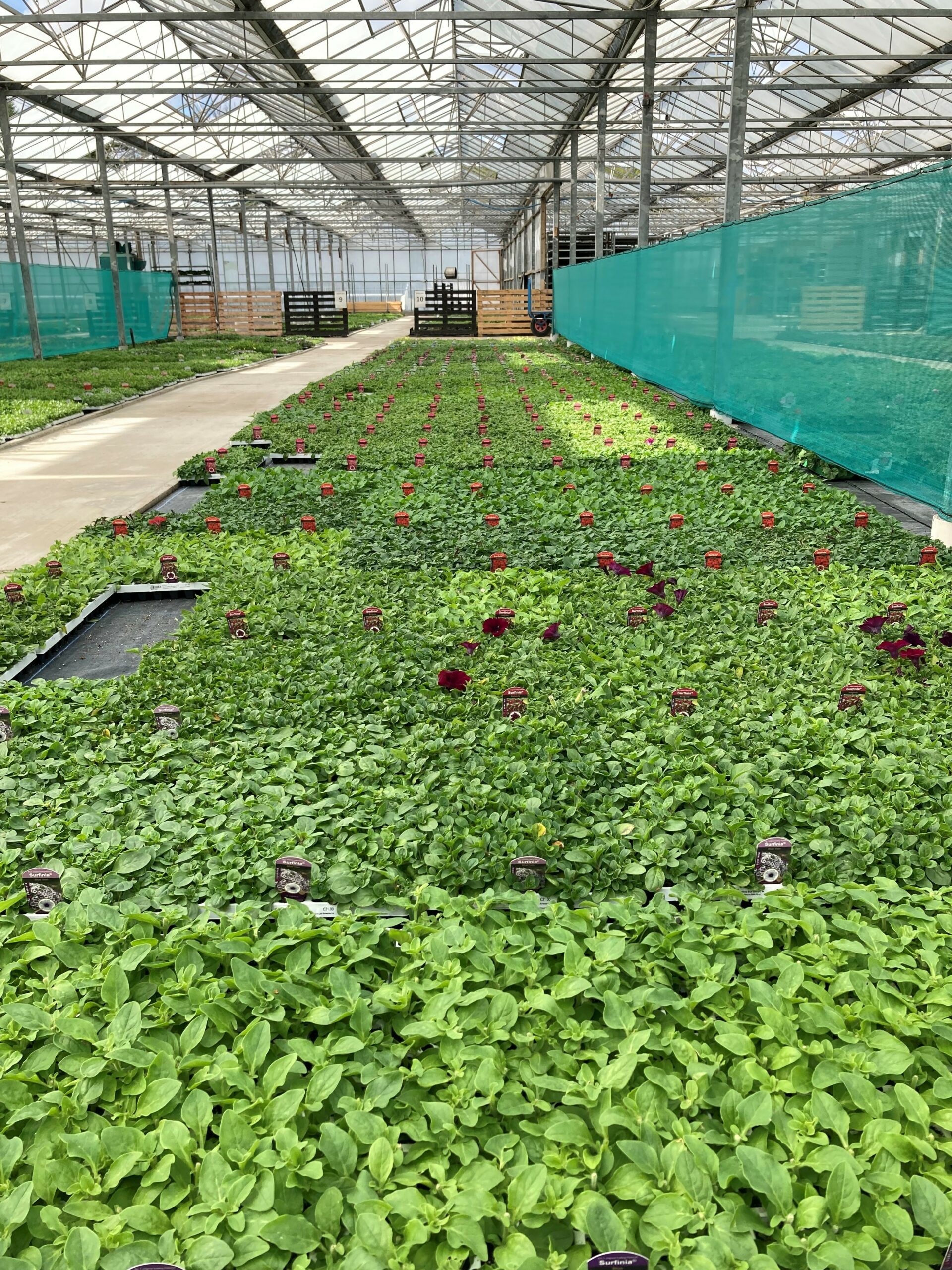 Contact Us - Stocks Lane Nurseries